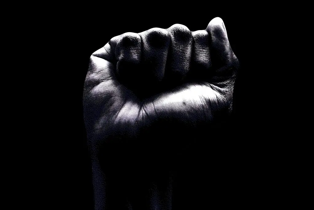 The low code revolution - Bridgeall